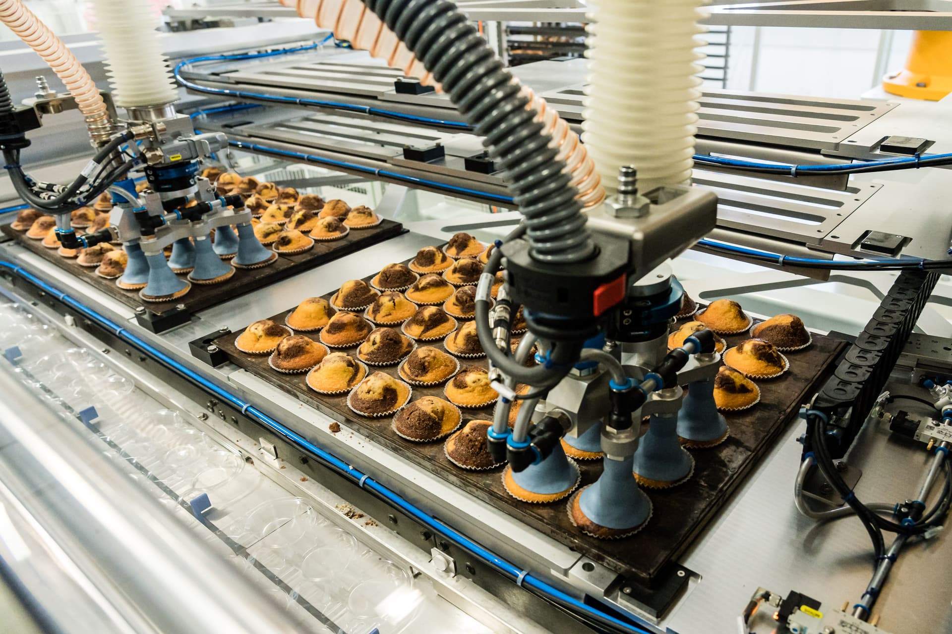 Robotics and assembly automation - Aerne Engineering AG